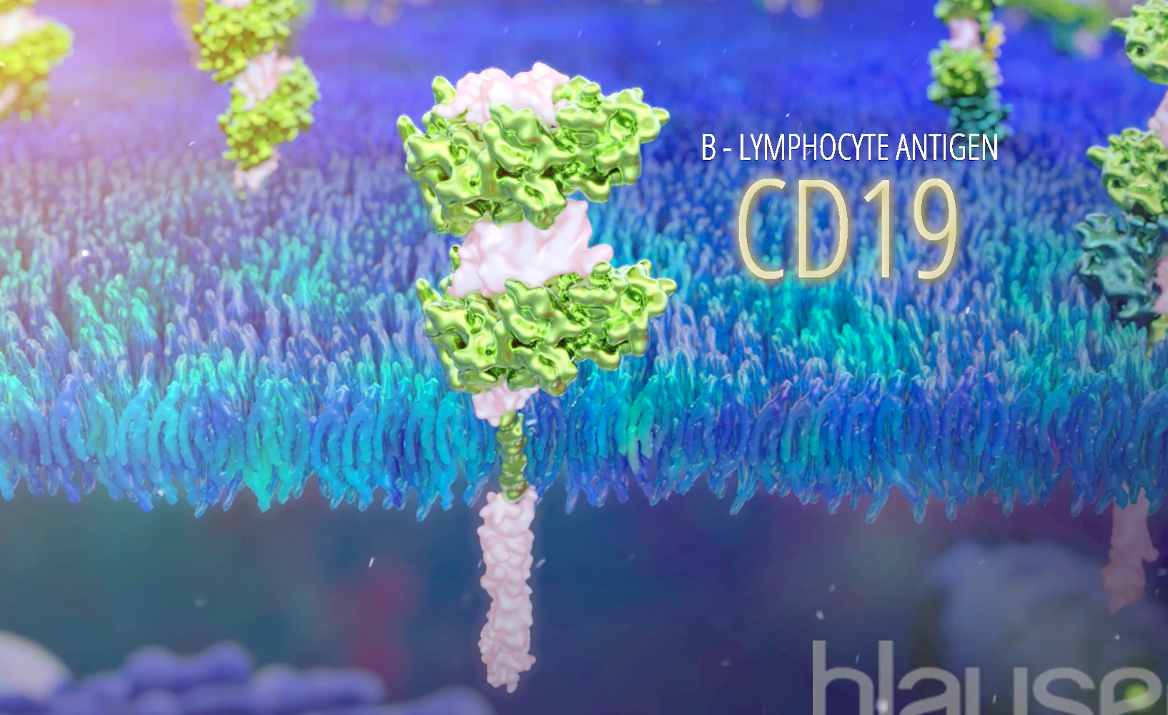 Understanding the Role of CD19 in Cancer Pathogenesis