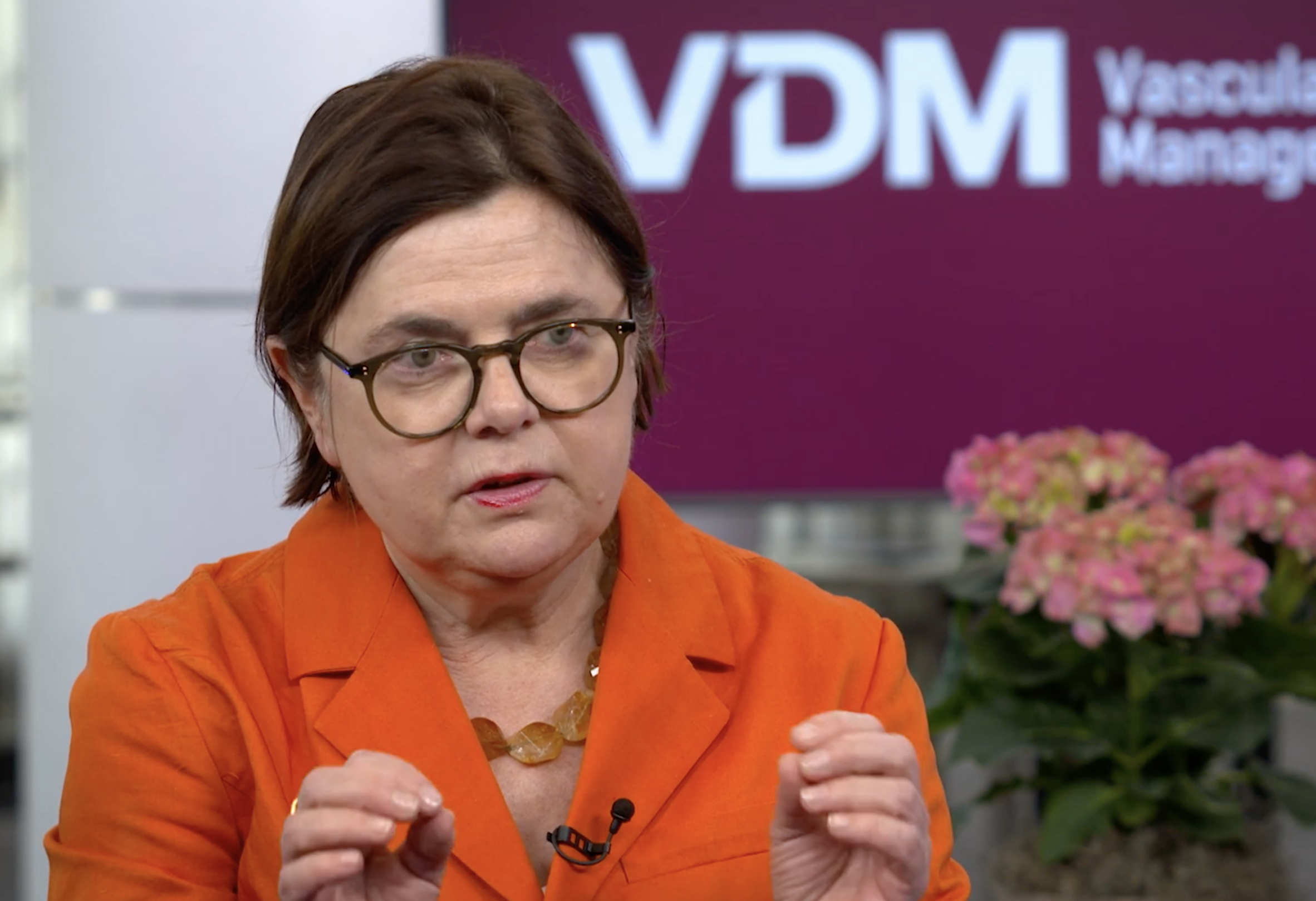 Future Role of the Spur Stent: DEEPER LIMUS | Vascular Disease Mgt