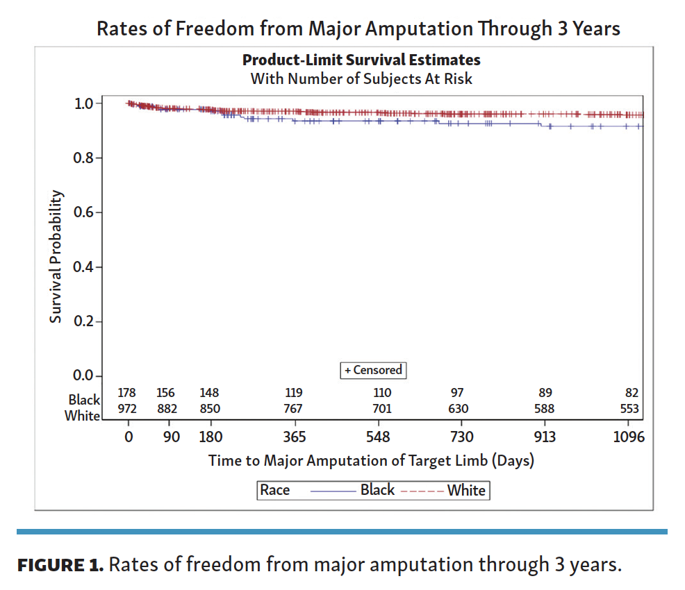 Racial Disparities in Risk for Major Amputation or Death After ...