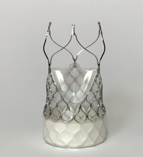 TRIA Transcatheter Biopolymer Heart Valve Shows Promise in Pilot Animal ...