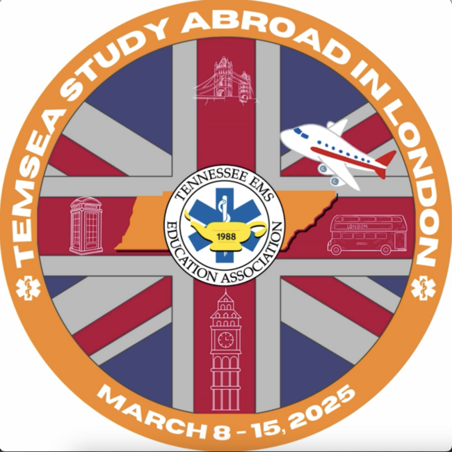 Global Learning, Local Impact: TEMSEA’s Study Abroad Experience in London